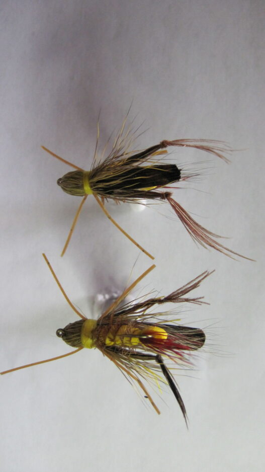 Time to get hopping: grasshopper fly pattern | News, Sports, Jobs ...